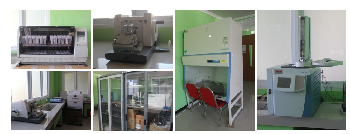 Laboratorium Kesehatan Tanaman – Jurusan Agroteknologi